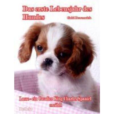 预订不退不换德语 Das erste Lebensjahr des Hundes:Lasse - eine Cavalier King Charles Spanie