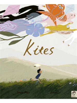 预订不退不换Kites