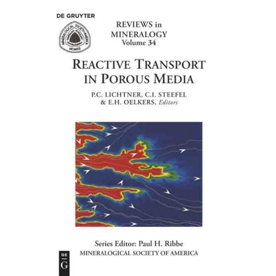 按需印刷DGYT Reactive Transport in Porous Media[9780939950423]