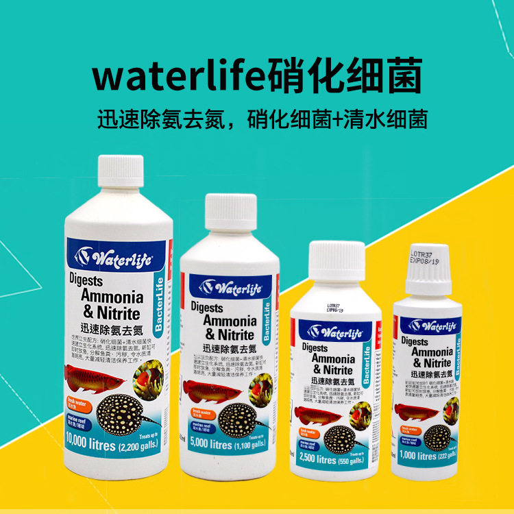 Waterlife硝化细菌降氨氮消化菌水降氨亚硝酸盐净水海淡水用