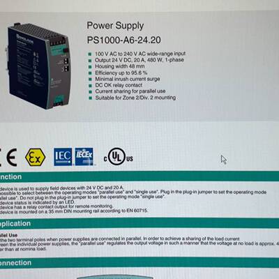 可议价PS1000-A6-24.20 倍加福电源模块，正品