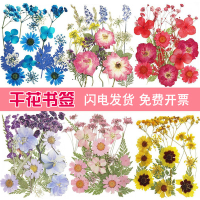 干花diy材料包永生花压花押花手工滴胶书签植物树叶标本叶脉干花