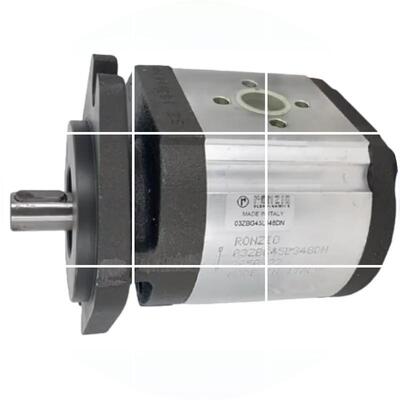 现货罗茨油泵RONZIO齿轮泵03ZAG45CO48S-1B厂家直销质量保障