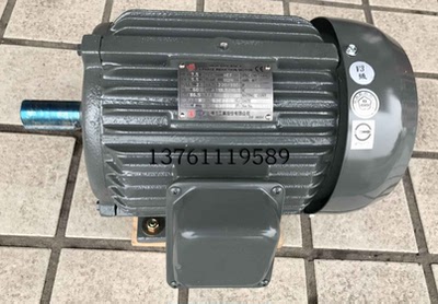 SHINGSENG电机新生精技