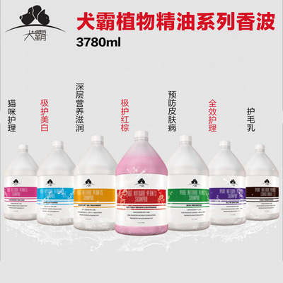 犬霸狗狗沐浴露宠物大桶护毛素