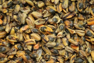 野生淡菜包邮海鲜水产淡菜干