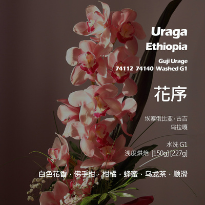 埃塞俄比亚古吉乌拉嘎74112 74140花序水洗G1手冲单品咖啡豆新鲜