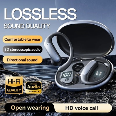 AI Translation Earphones Bluetooth Earbuds Headphones