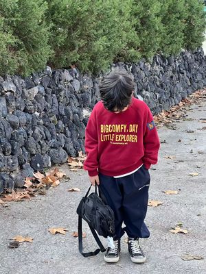 26新春童装过年喜庆红卫衣儿童加绒棉卫衣拜年内搭圆领套头衫年服