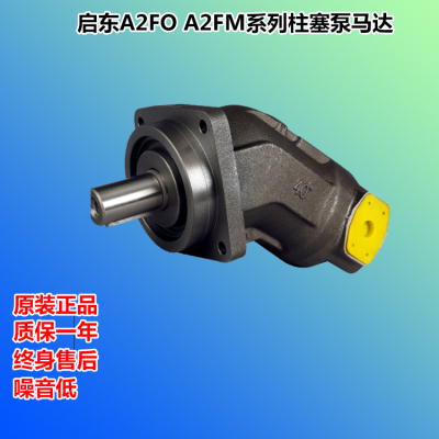 华德 力士乐款A2FO/A2FM23 56 107 125 160 180/61W-VAB010柱塞泵