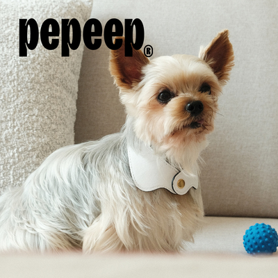pepeep宠物领时尚亲肤