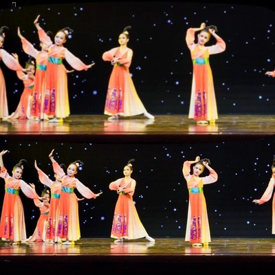 其他女桃李忆长安古典舞