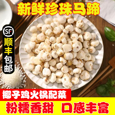 珍珠马蹄阳江小荸荠椰子鸡火锅