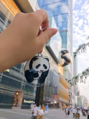 不全是亚克力大熊猫小熊成都