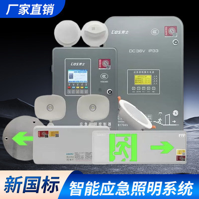 劳士A型集中电源消防疏散指示灯低压36v应急照明灯安全出口标志灯