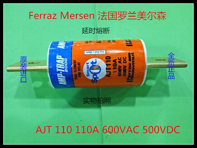 AJT110 Ferraz法国罗兰熔断器保险丝Mersen美尔森 110A600VAC全新