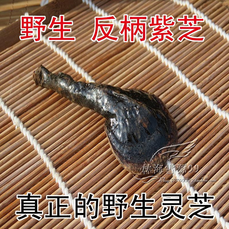 野生反柄灵芝 反柄紫芝 野生紫灵芝 250克 整枝 可切片打粉