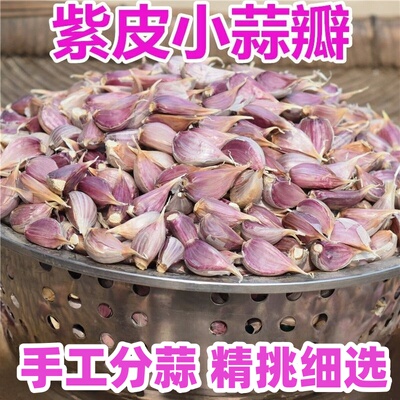 2026精选紫皮小蒜瓣香辣饱满