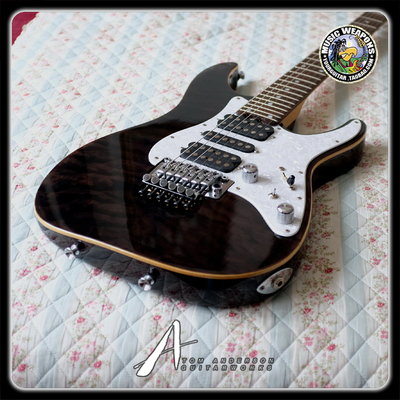 SchecterSD-24TomAnderson
