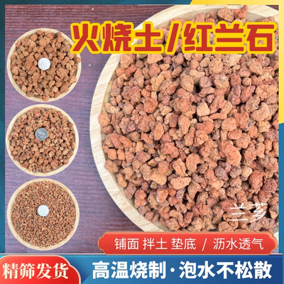 兰花专用石料养花的小石头火烧土红土红石火山石子植料铺面颗粒土