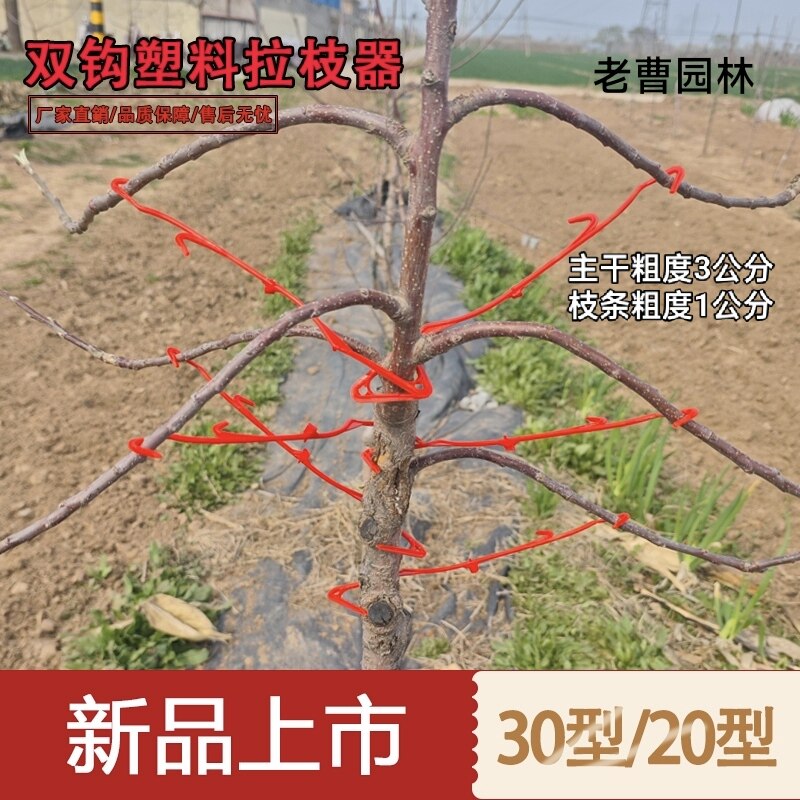 新款果树塑料拉枝器双钩主干型果树开角器别枝定型器纺锤形固定器