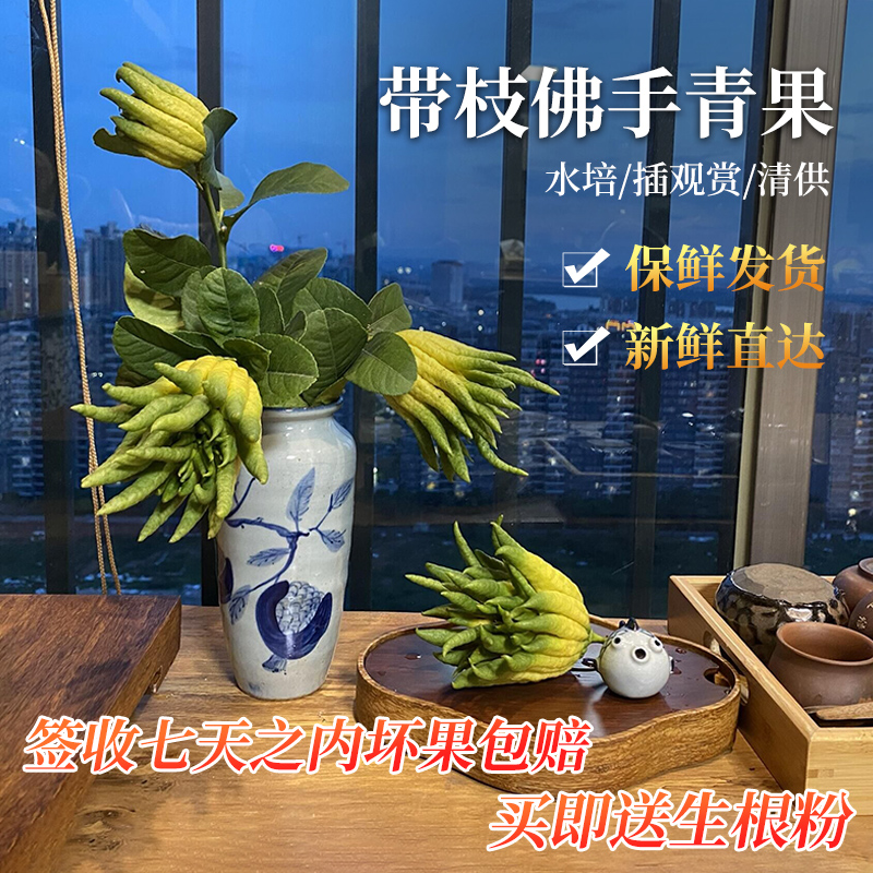 上好佳田园薯片脏脏薯巧克力味60gx2包双面涂层可可粉膨化零食_虎窝淘