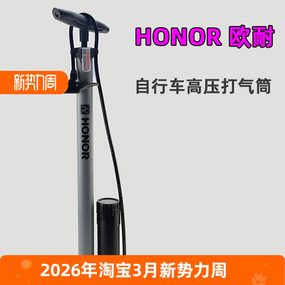 欧耐山地公路自行车立式打气筒 摩托车电三轮高压打气筒带气压表