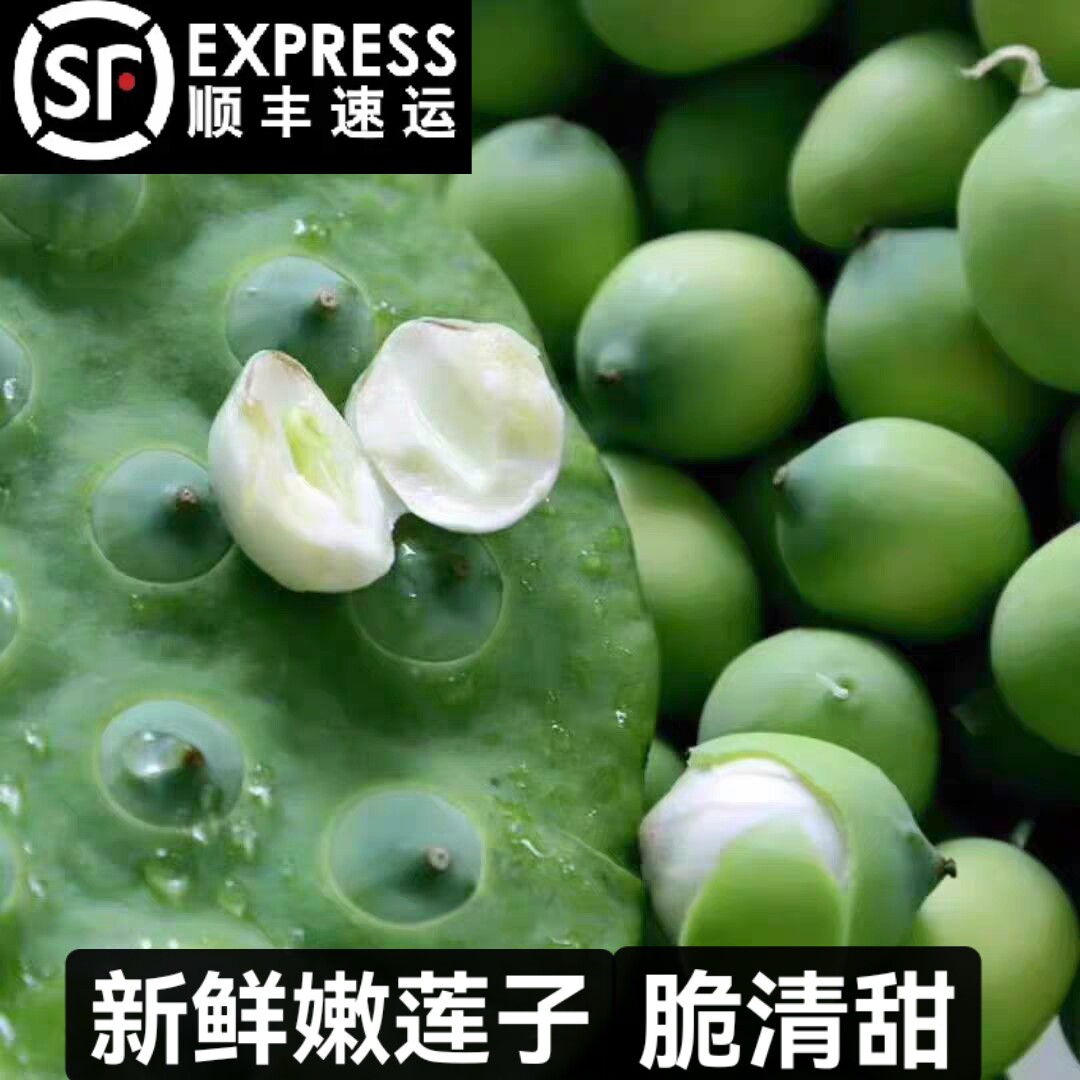 江西新鲜水果嫩莲蓬生吃莲子米当季时令水果甜嫩莲子孕妇水果莲子