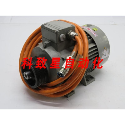 工业配件1LA7096-4AA10低压电机T210381