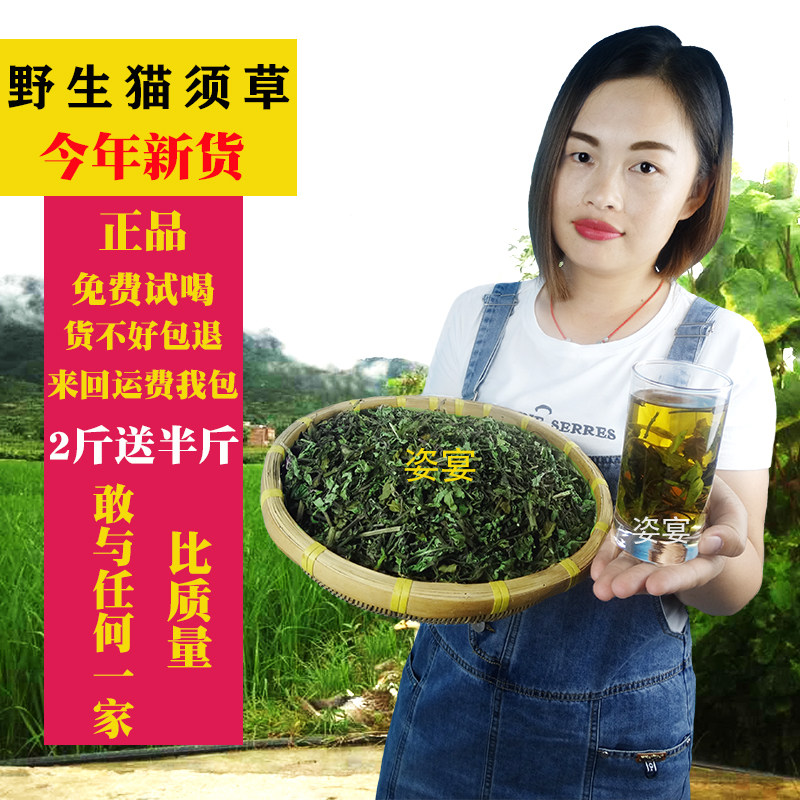 猫须草野生500g云南猫须草茶 肾茶排酸正品中药材新货包邮猫须公