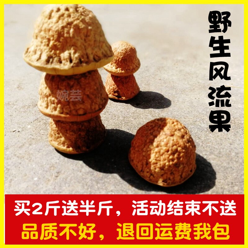 风流果中药材500g阴阳子 广西双肾子龟头子男性泡酒料中草药包邮
