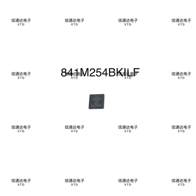 841N254BKILF 时钟/计时 - 专用   一站式配套