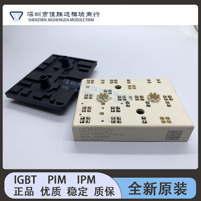 SKiiP31NAC12T4T42 SKIIP32NAB12T45 SKIIP31NAC12T2 SKIIP30NAC1