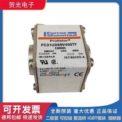 罗兰A070UD30LI63 M300138 A070UD30LI80 N300139原装荣熔断器