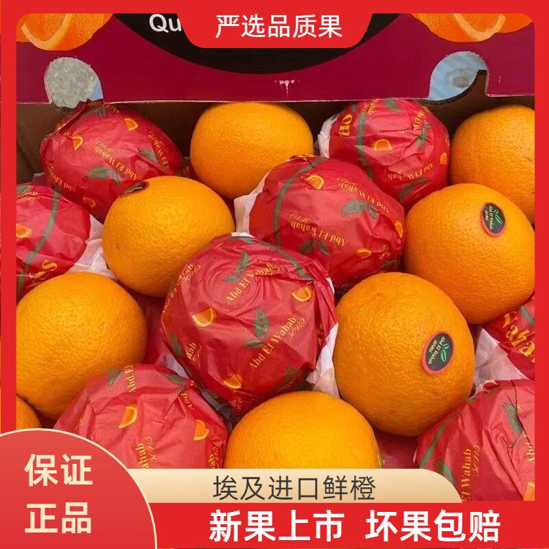 埃及橙进口埃及脐橙新鲜多汁橙当季时令大果奶茶店榨汁橙5斤包邮