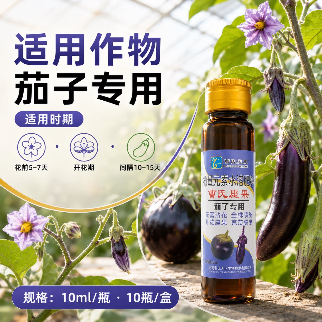 【曹氏座果茄子专用】提高增强坐果率茄子专用增产亮茄膨大叶面肥