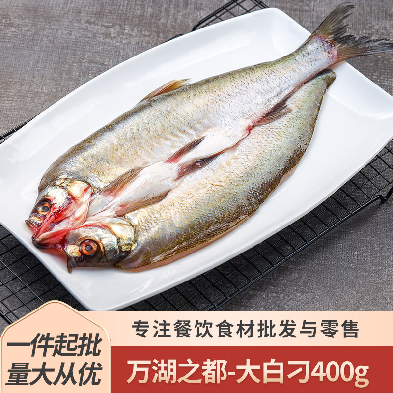 万湖之都大白刁整条湖北鱼翘嘴鲌刁子鱼大白鱼餐饮半成品冰鲜鱼