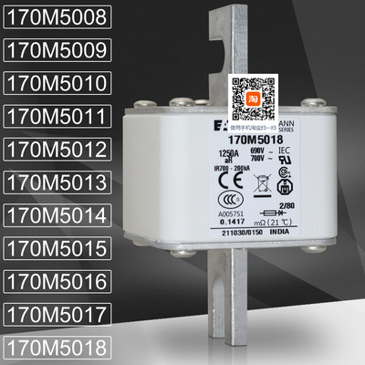 巴斯曼170M5016170M5017熔断器
