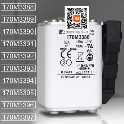 保险170M3389170M3396熔断器