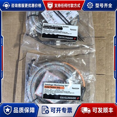 议价Geislinger盖斯林格扭振监测传感器，GMS MA可维修