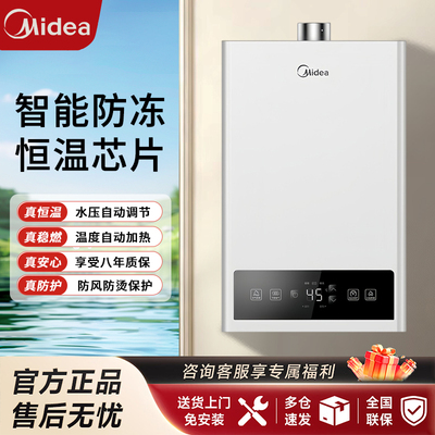 恒温家用天然气变频省气强排式