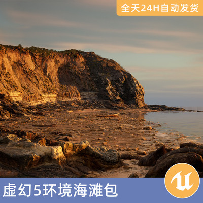 UE5虚幻5素材模型环境场景资产海滩包石头枯木沙子海洋山坡