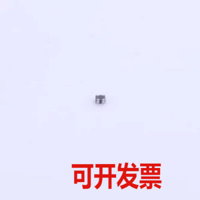 DLM0NSN500HY2D 共模滤波器 两路 0402共模滤波器 阻抗50Ω@100MH