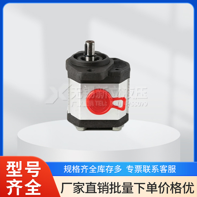 MARZOCCHI齿轮泵GHP1A-D-5-FG
