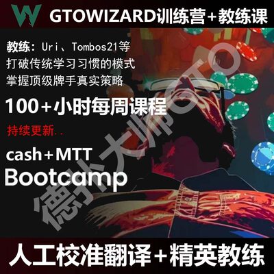 GTOwizard教练课独享拼车