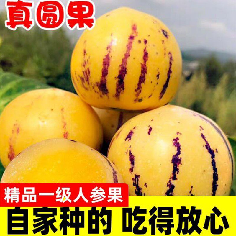 云南石林黄肉人参果圆果人生果5斤 新鲜水果非甘肃长果
