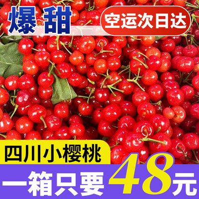 四川攀枝花米易小樱桃4斤