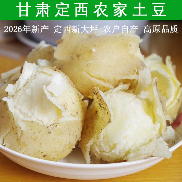 新鲜26年甘肃定西新大坪土豆白芯洋芋农家自种洋芋沙面马铃薯9斤