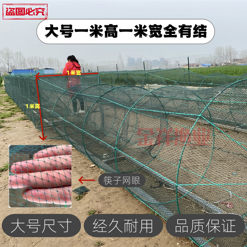 大框鱼笼折叠龙虾笼大号网笼专用特大进口有结渔笼捕虾加粗加重网