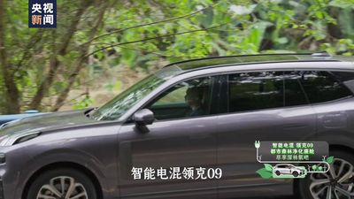 19年驾龄北京上海广州福州深圳商务长途代驾二手车代购验车送车